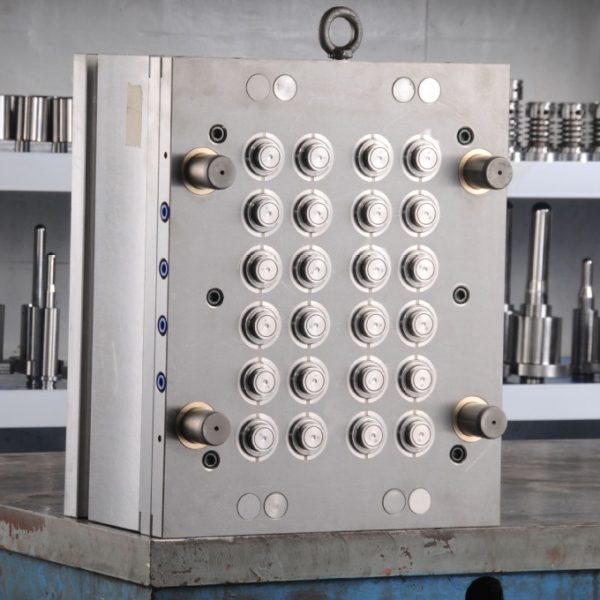 Multi Cavity Mold less your parts will cost economical in mass production